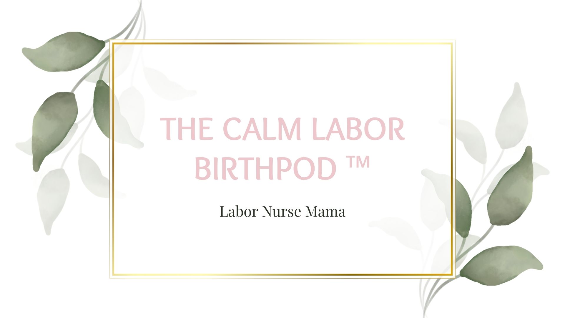 Calm Labor BirthPod ™ – On-the-Go Birth Course for Moms