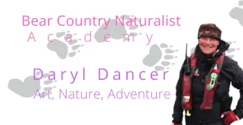 Daryl Dancer - Curiosity Mentor & Creative Coach