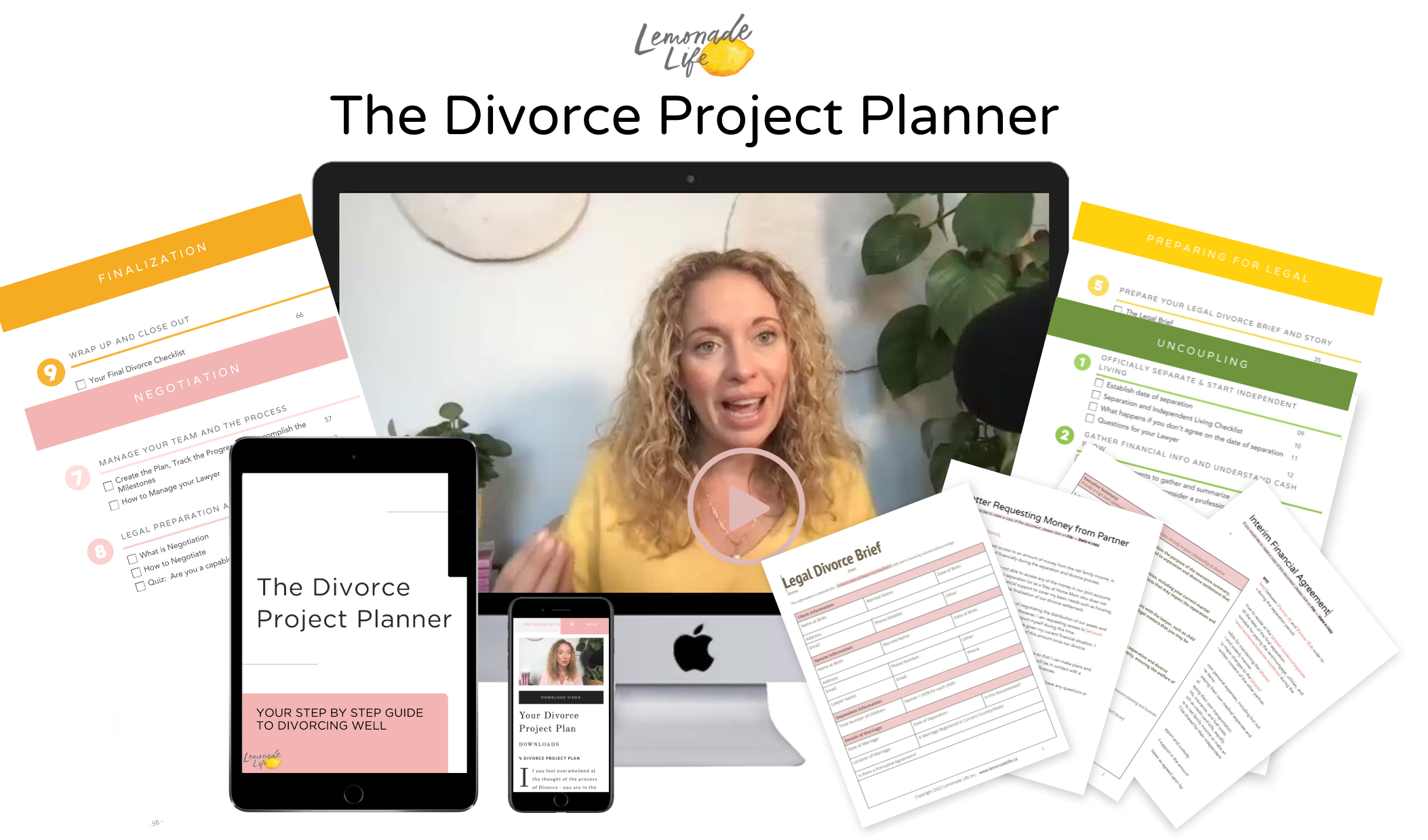 The Divorce Project Planner by Lemonade Life