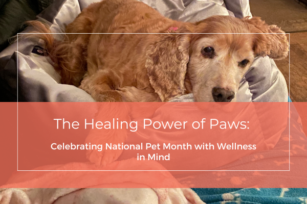 The Healing Power of Paws: Celebrating National Pet Month with Wellness ...