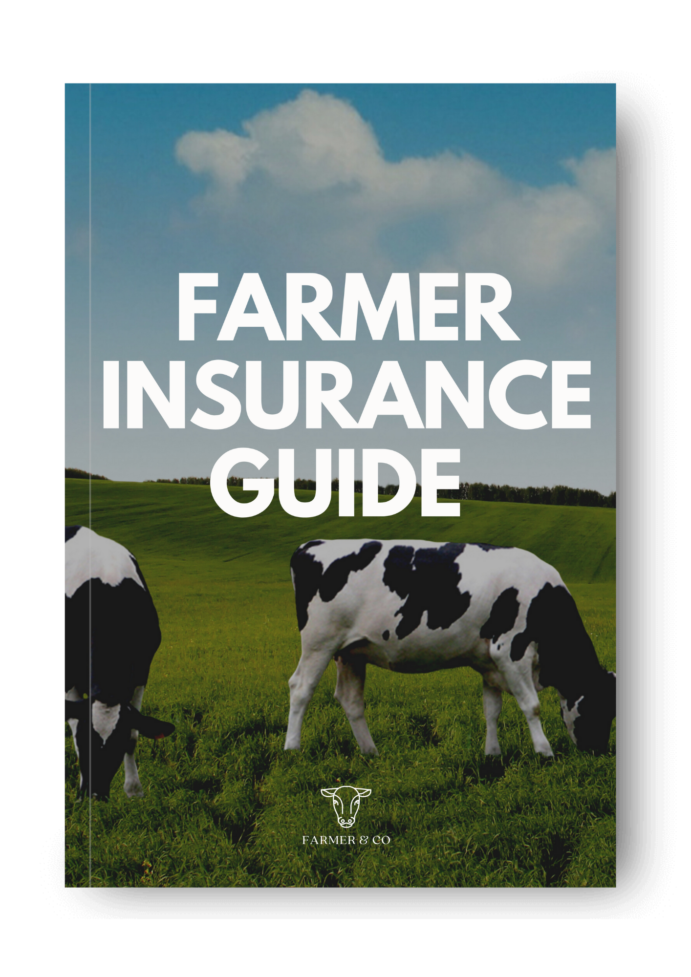8-Step Farmer Insurance Guide