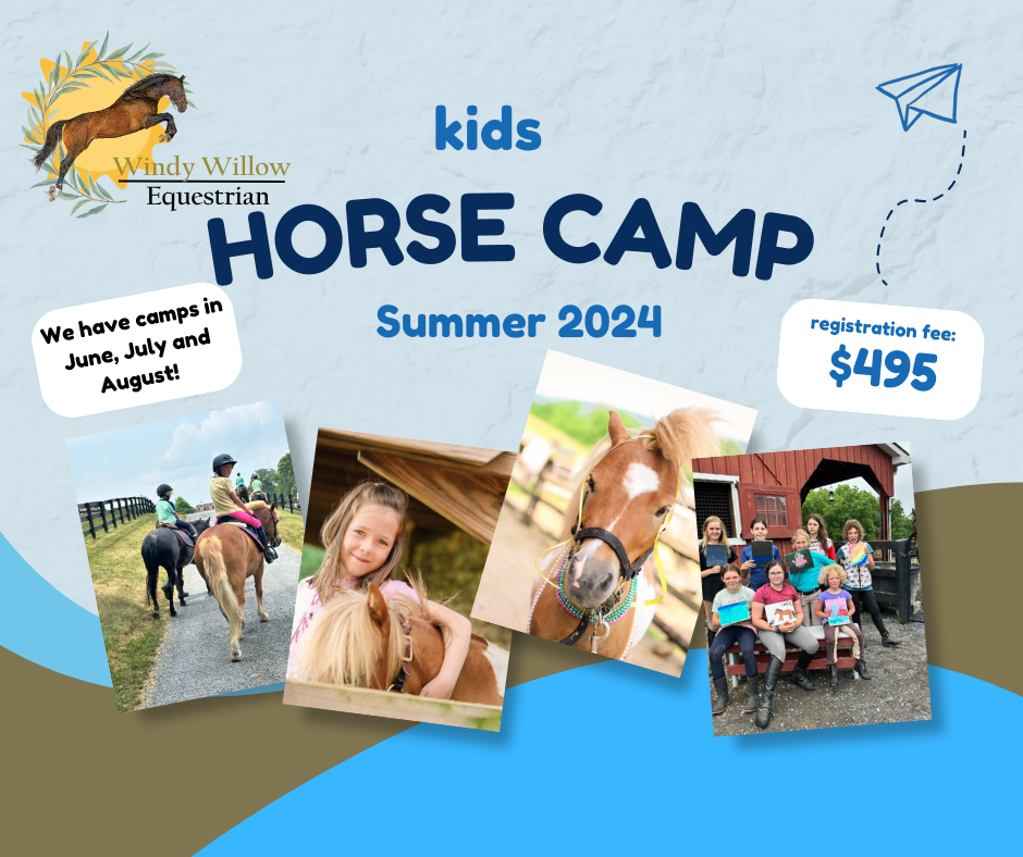 Windy willow equestrian