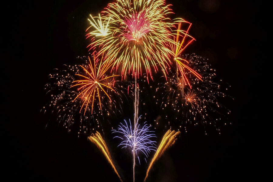 Adult concessions ticket - fireworks