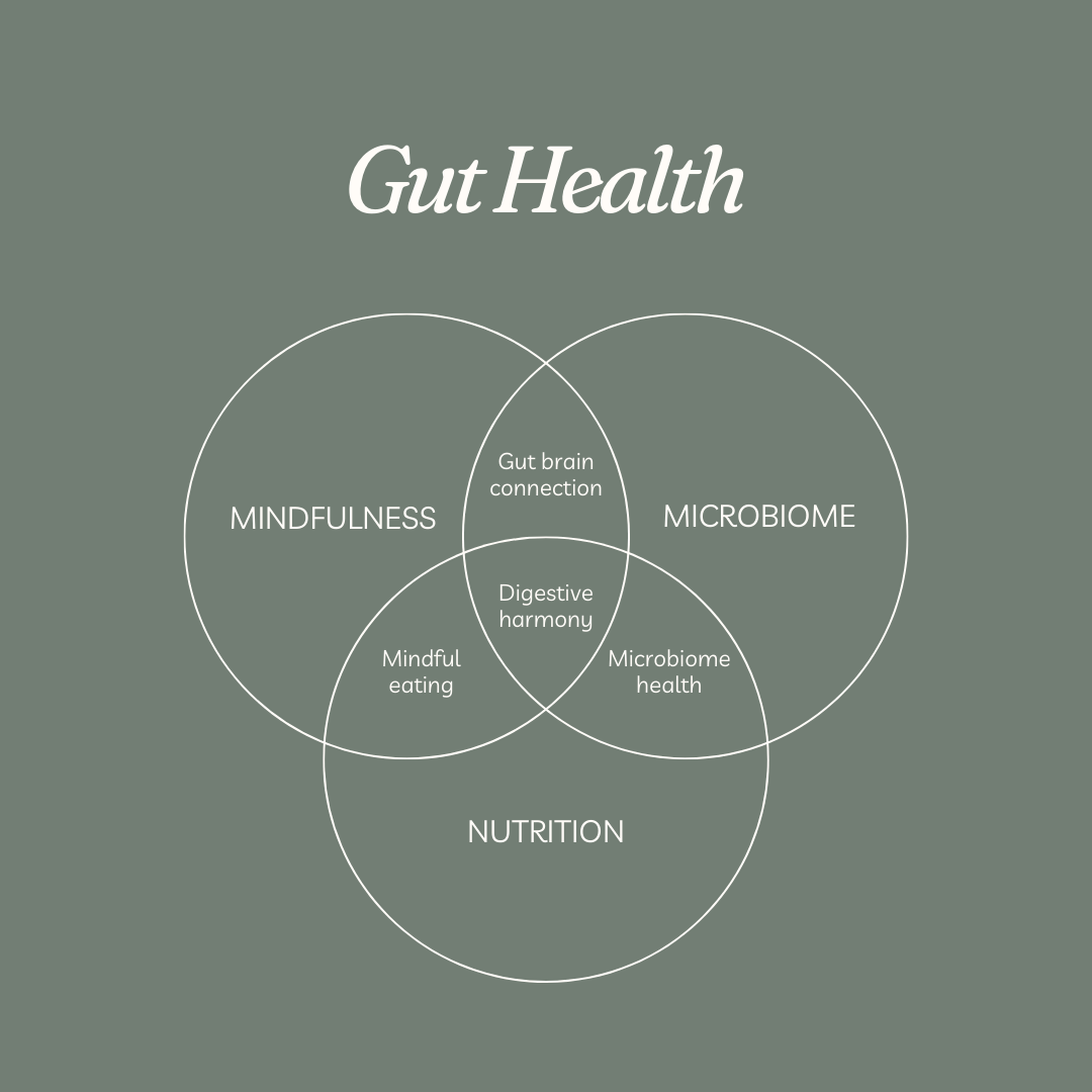 Your guide to your gut health