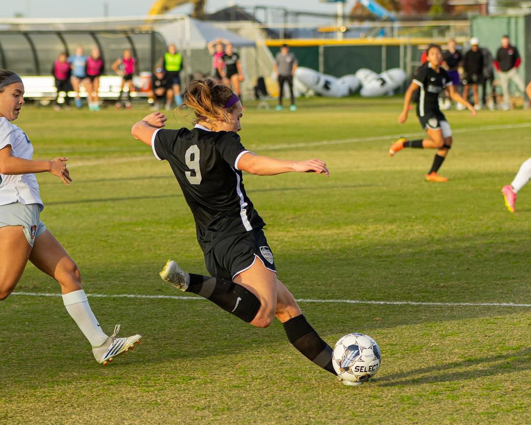 Train at Alpha | Baseball, Softball, Speed & Strength