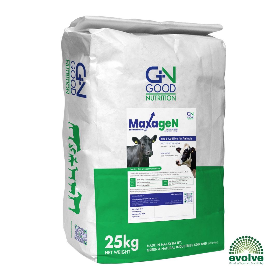 MaxageN – Protein Supplement for Dairy & Beef Cattle