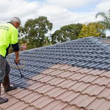 Roof Painting Adelaide | Professional Roof Colour & Protection