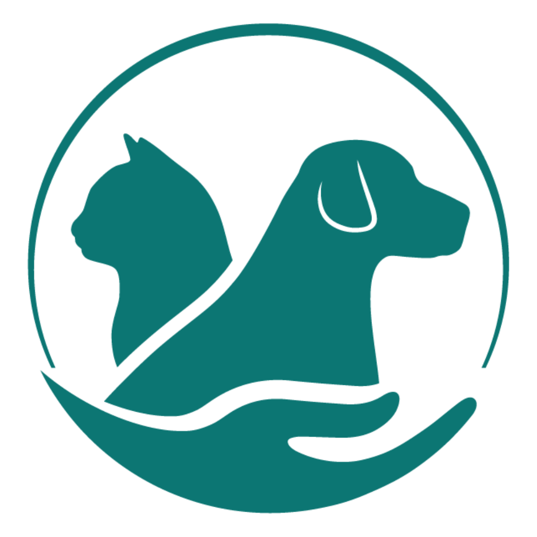 Contact Us | Pets In Partnership