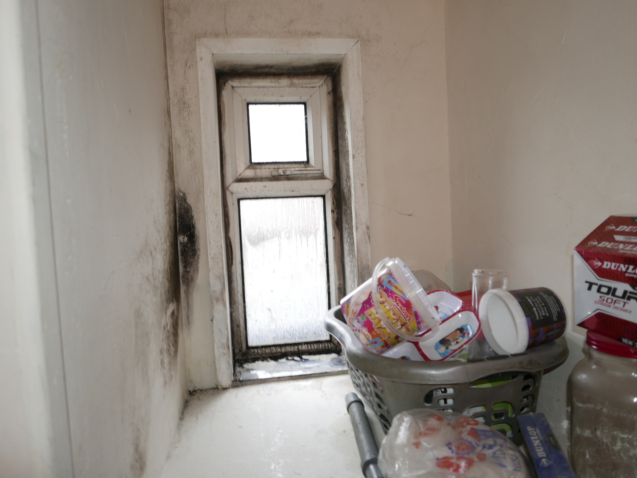 How to Spot the Early Warning Signs of Damp, Mould, and Condensation