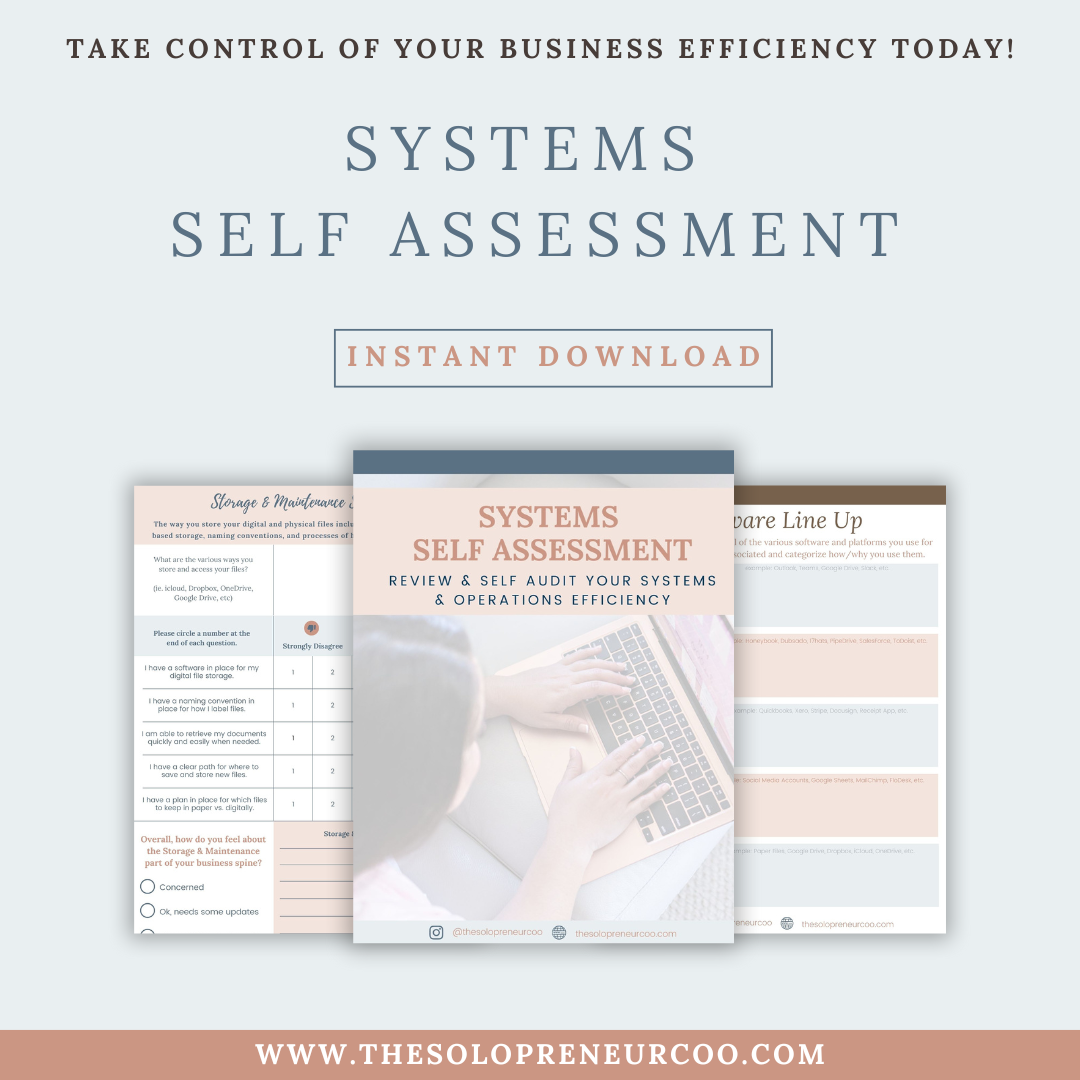 Systems Self Assessment Digital Download
