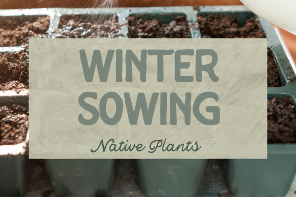 Winter Sowing Native Plants