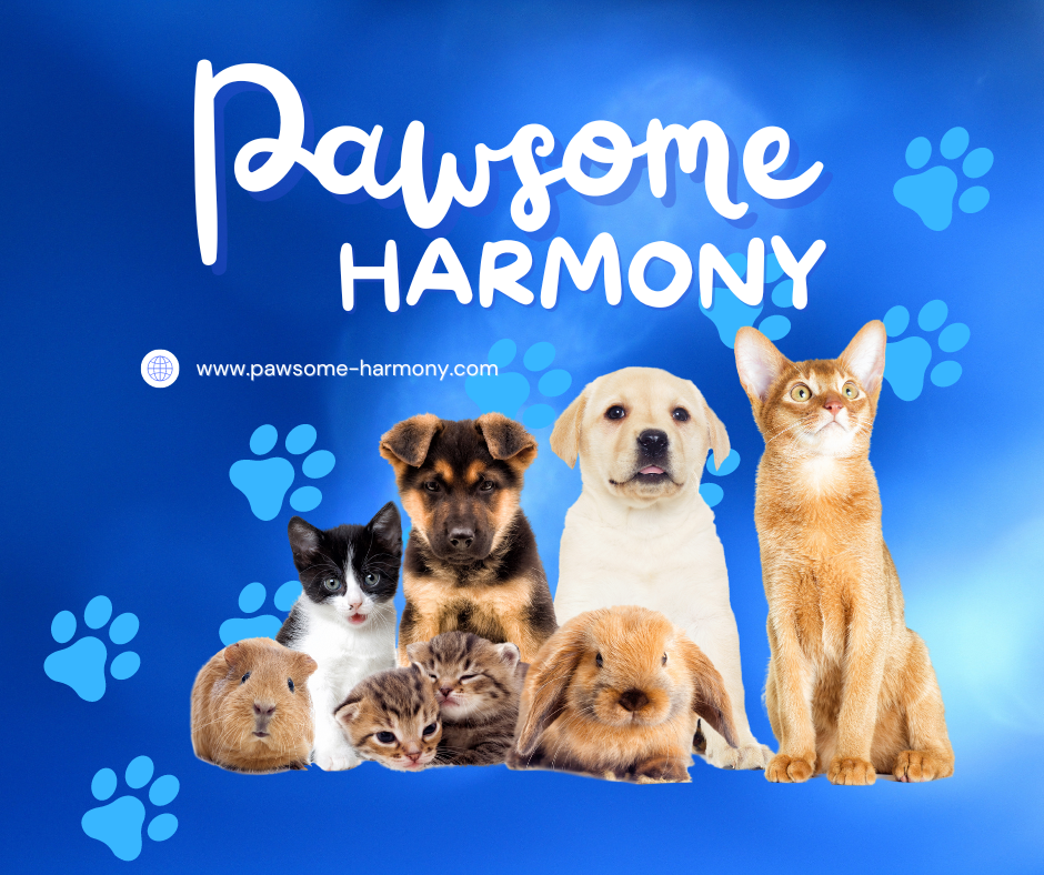 Pawsome Harmony - Home