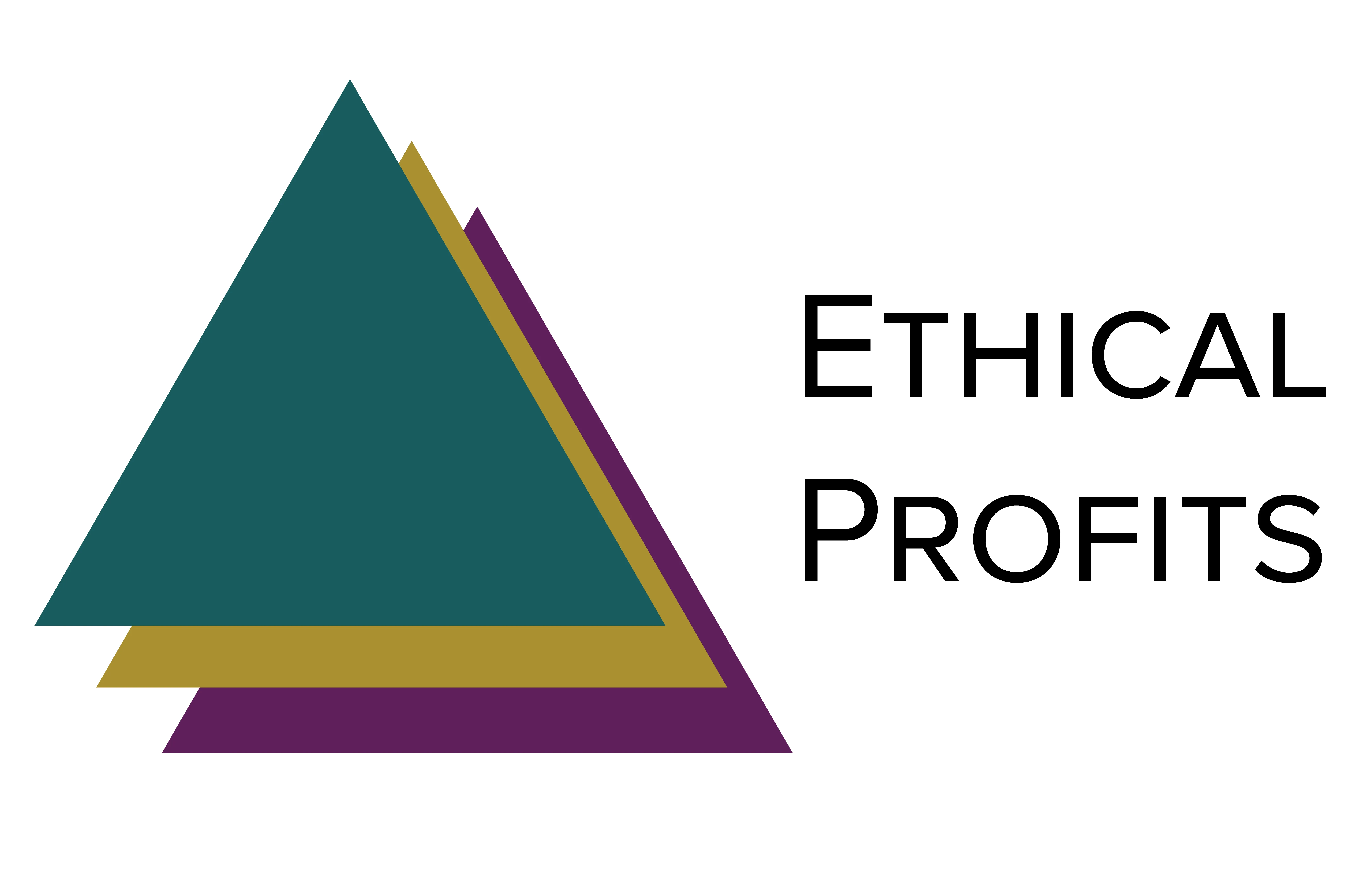 Ethical Profits