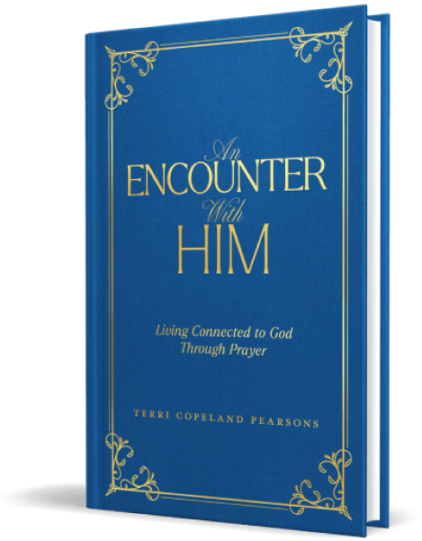 An Encounter With Him - Terri Copeland Pearsons