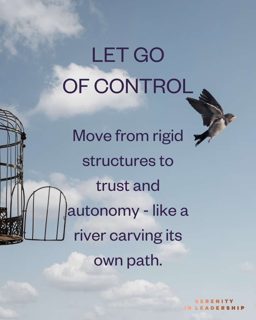 Let Go of Control