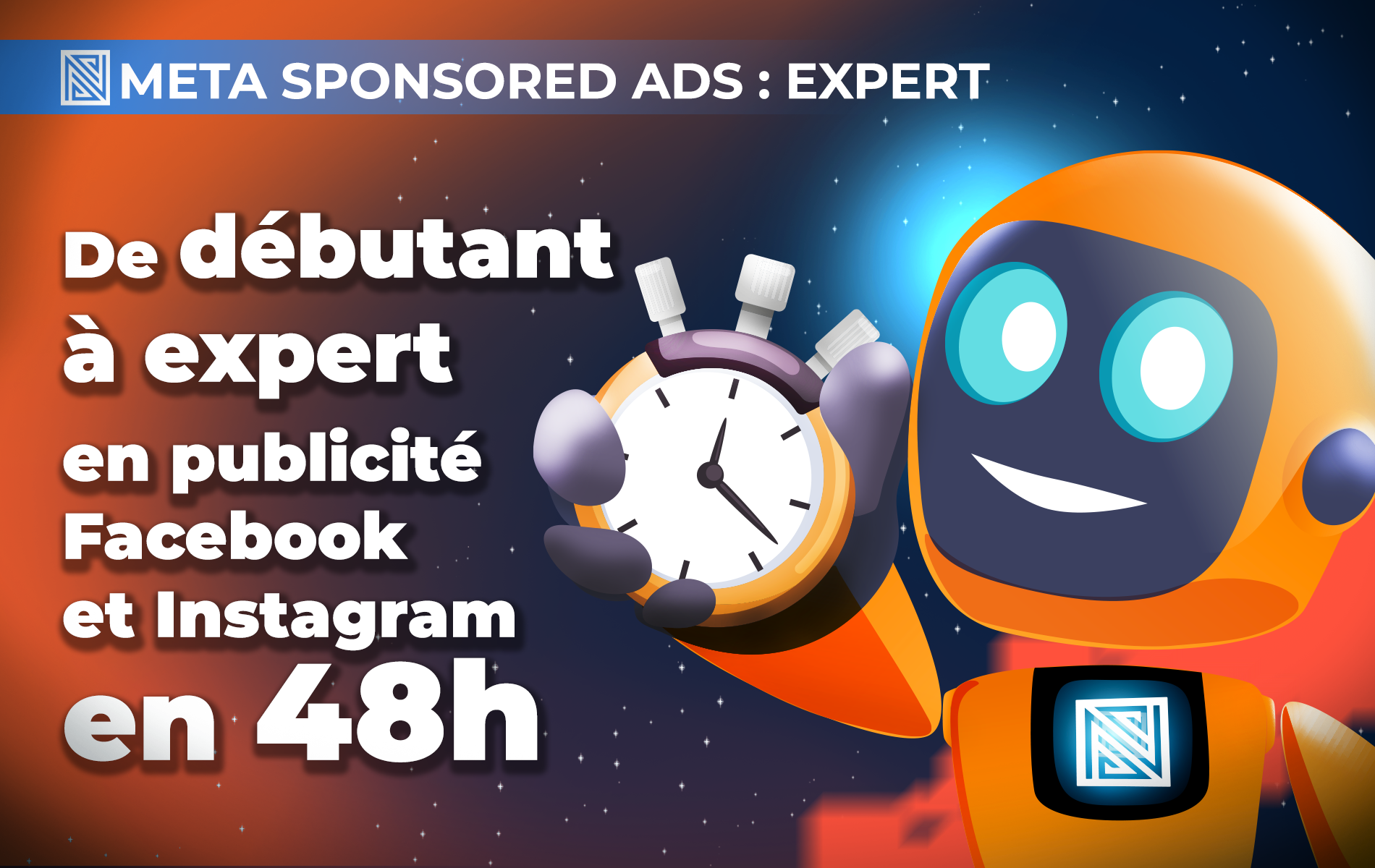 META SPONSORED ADS : EXPERT