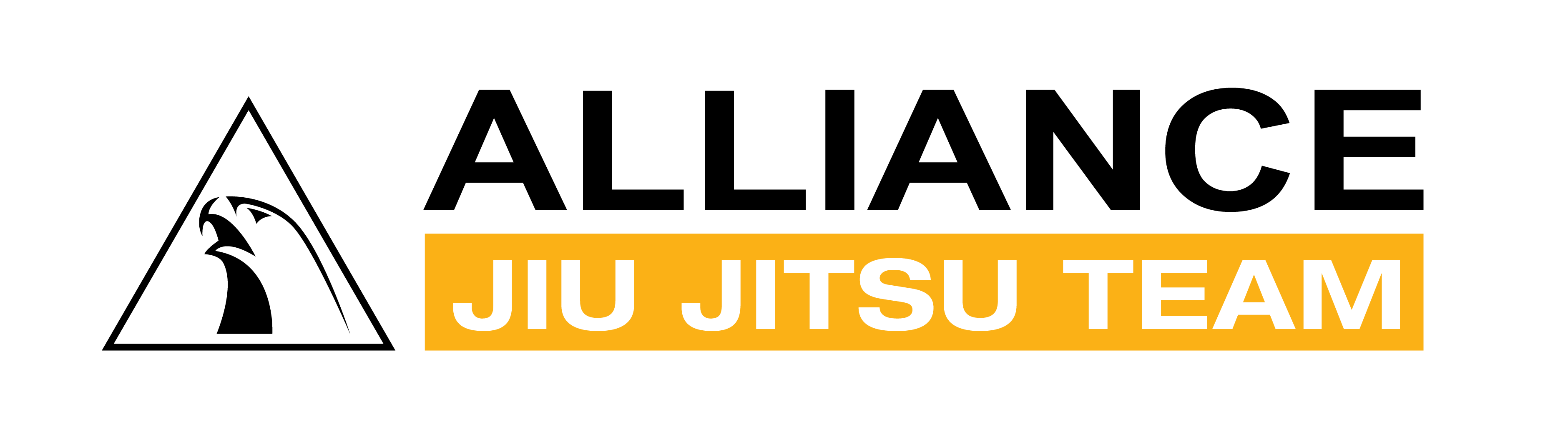 Alliance Martial Arts Center