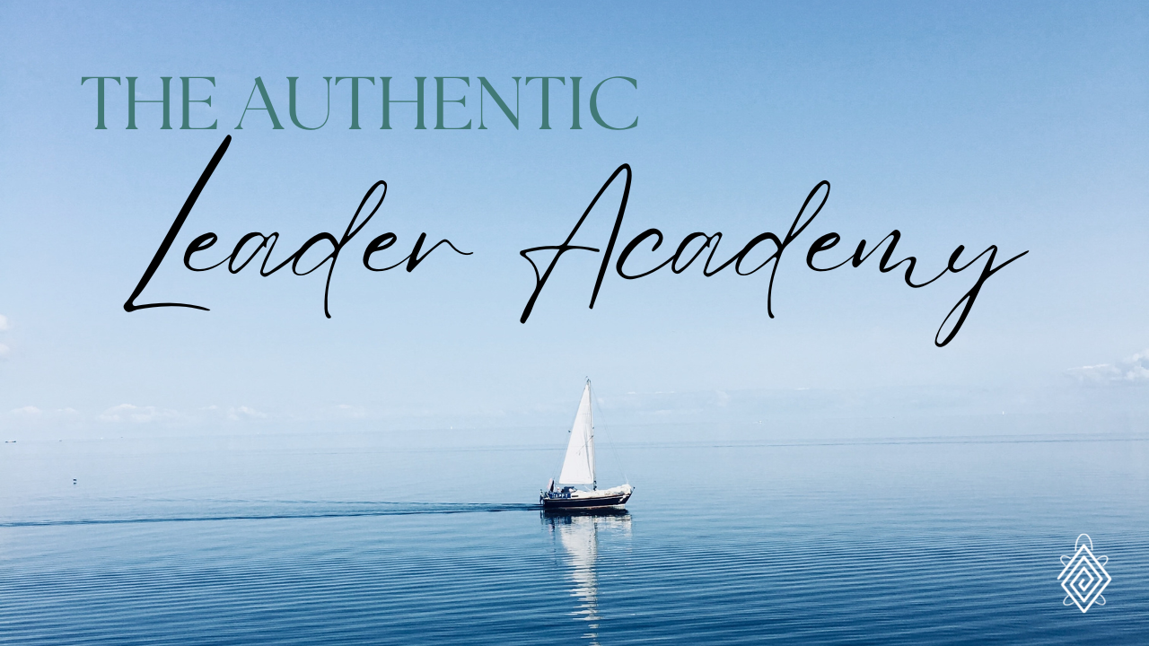 Turtle Transformation | The Academy