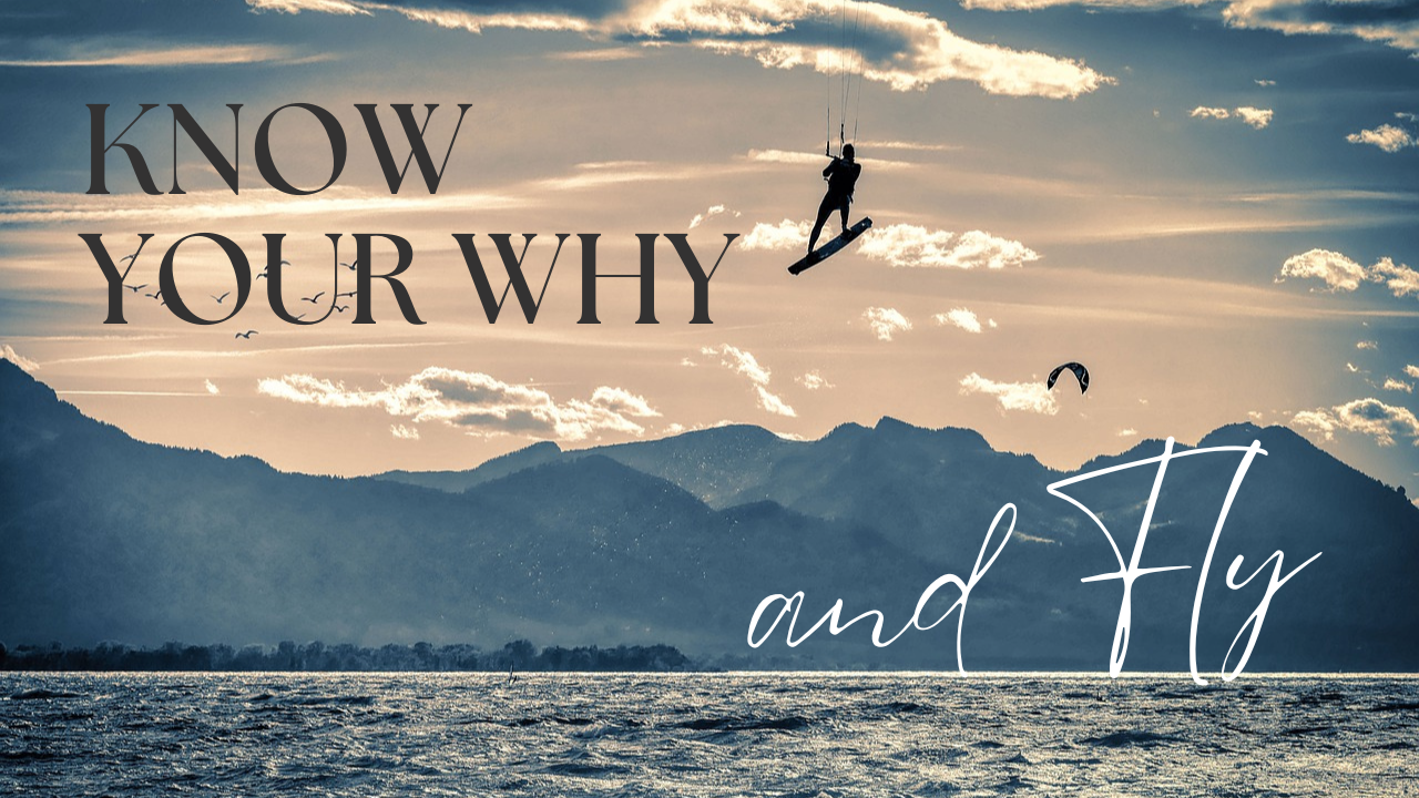 Turtle Transformation | Know your Why & Fly - Terms & Conditions