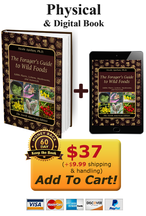The Forager's Guide to Wild Foods - $37 Only