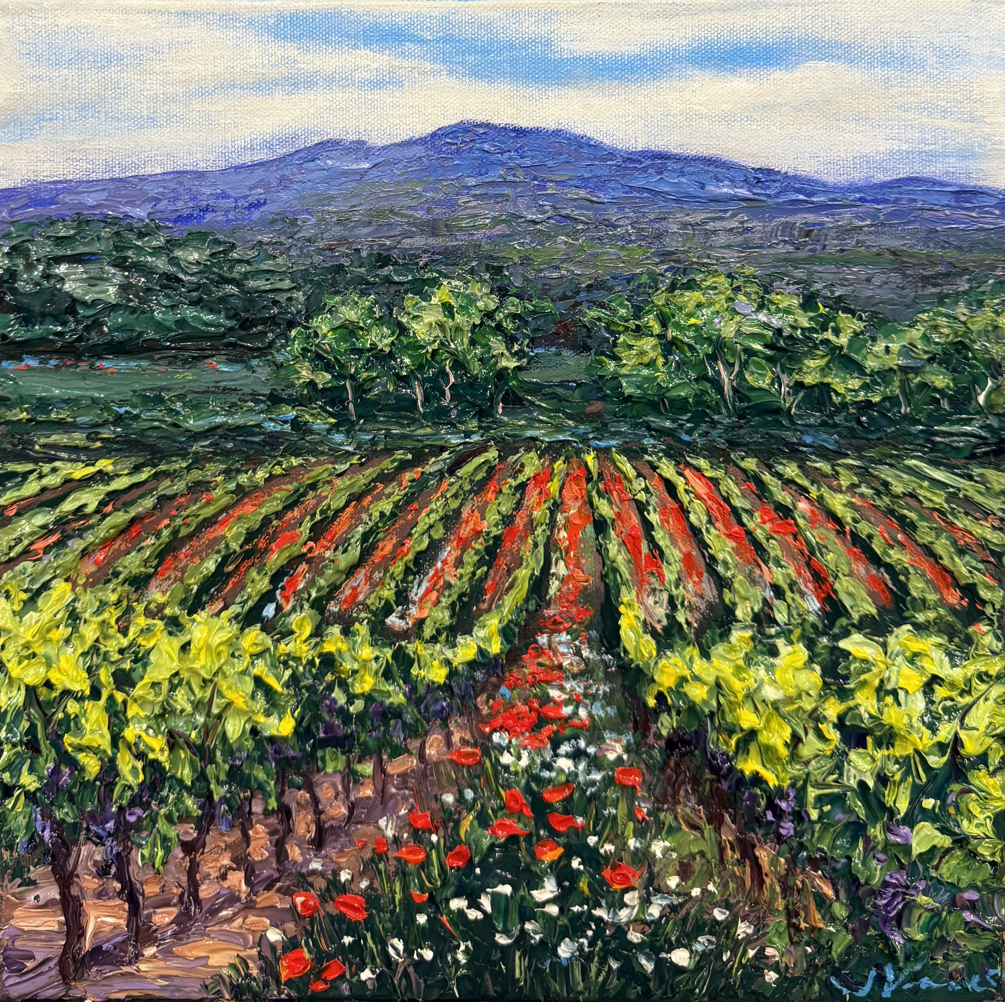 Vineyard in Bloom | Let's Dabble