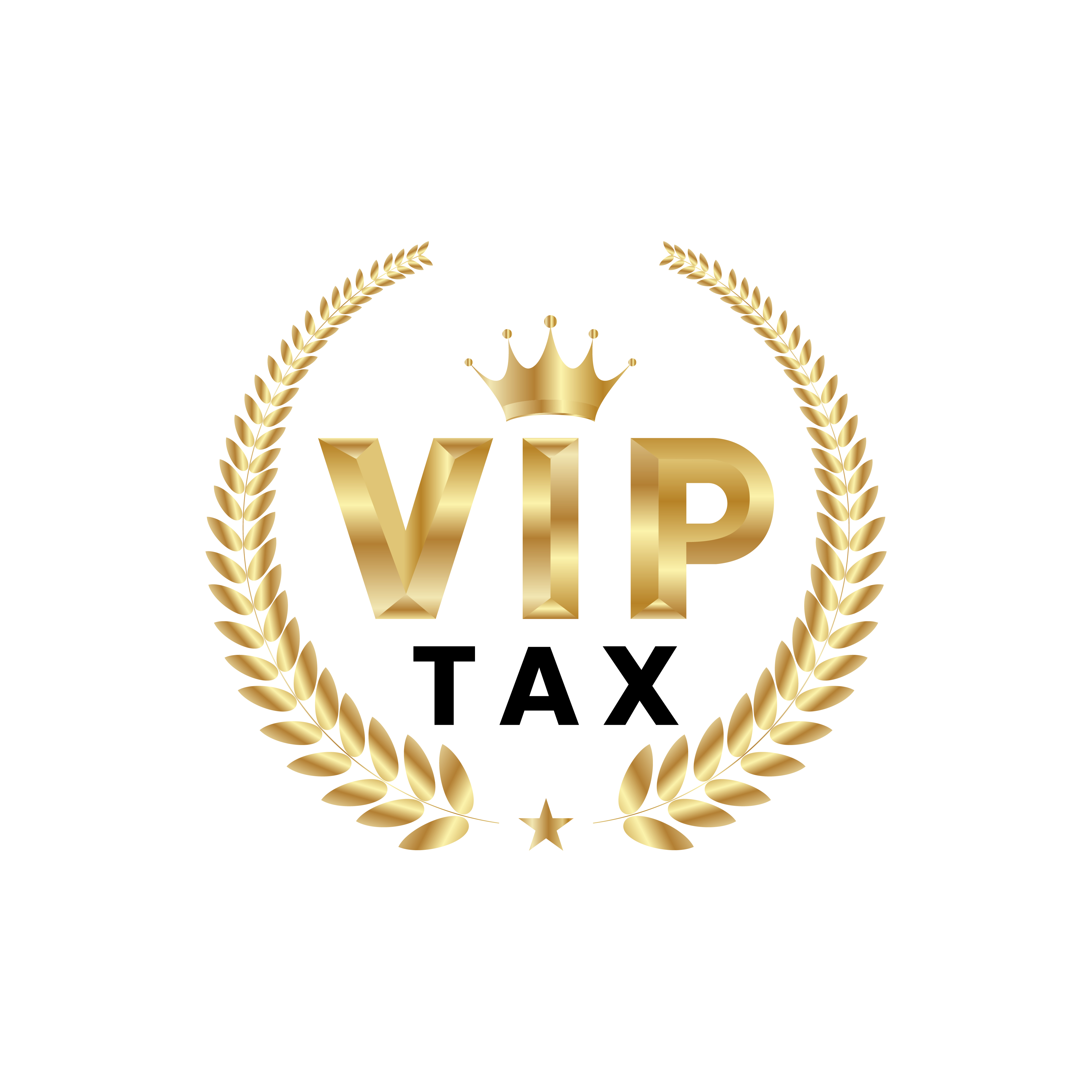 VIP Tax Academy