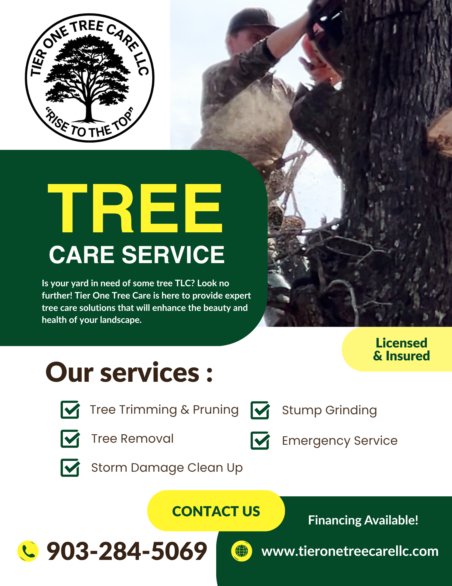 Tree Service in Tyler & Bullard, TX | Tier One Tree Care