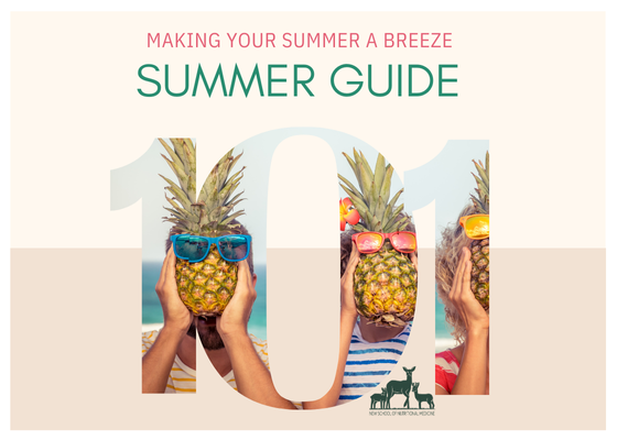 Summer Guide 101