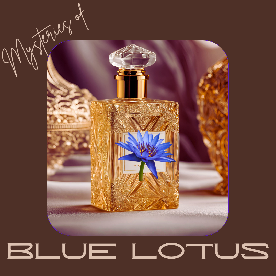 The Mysteries of Blue Lotus, Blue Lotus Oil and Blue Lotus Essential Oil
