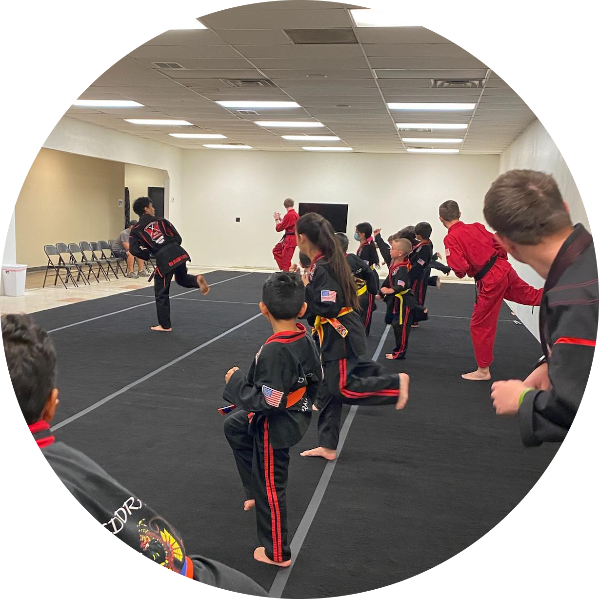 Red Dragon Karate Visalia Inc.