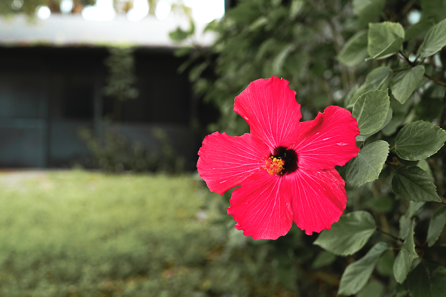 Oasis Recovery: Fort Myers Addiction & Mental Health Help