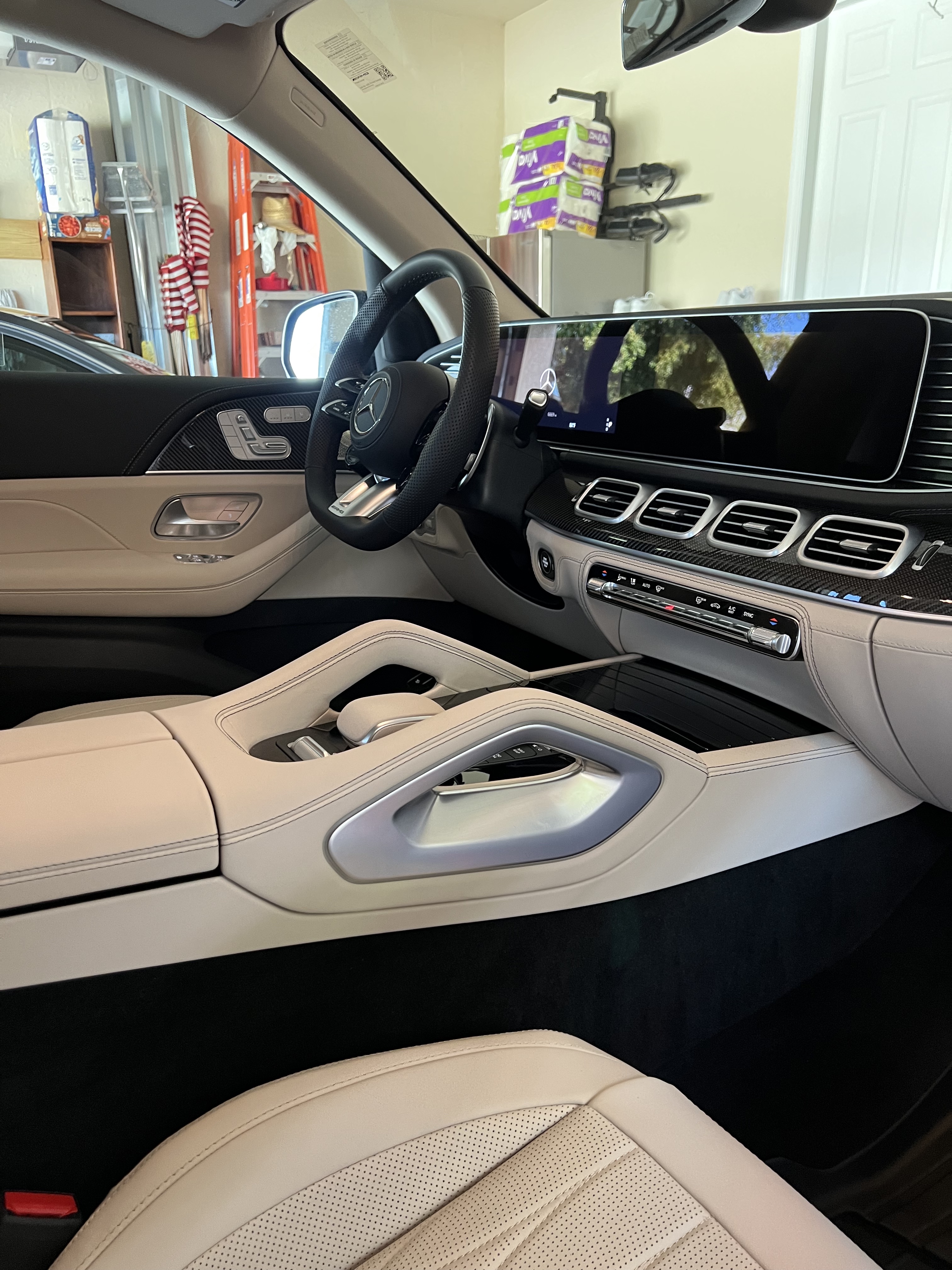 Interior Detailing: Agent Frog's Mobile Detail - Sarasota County