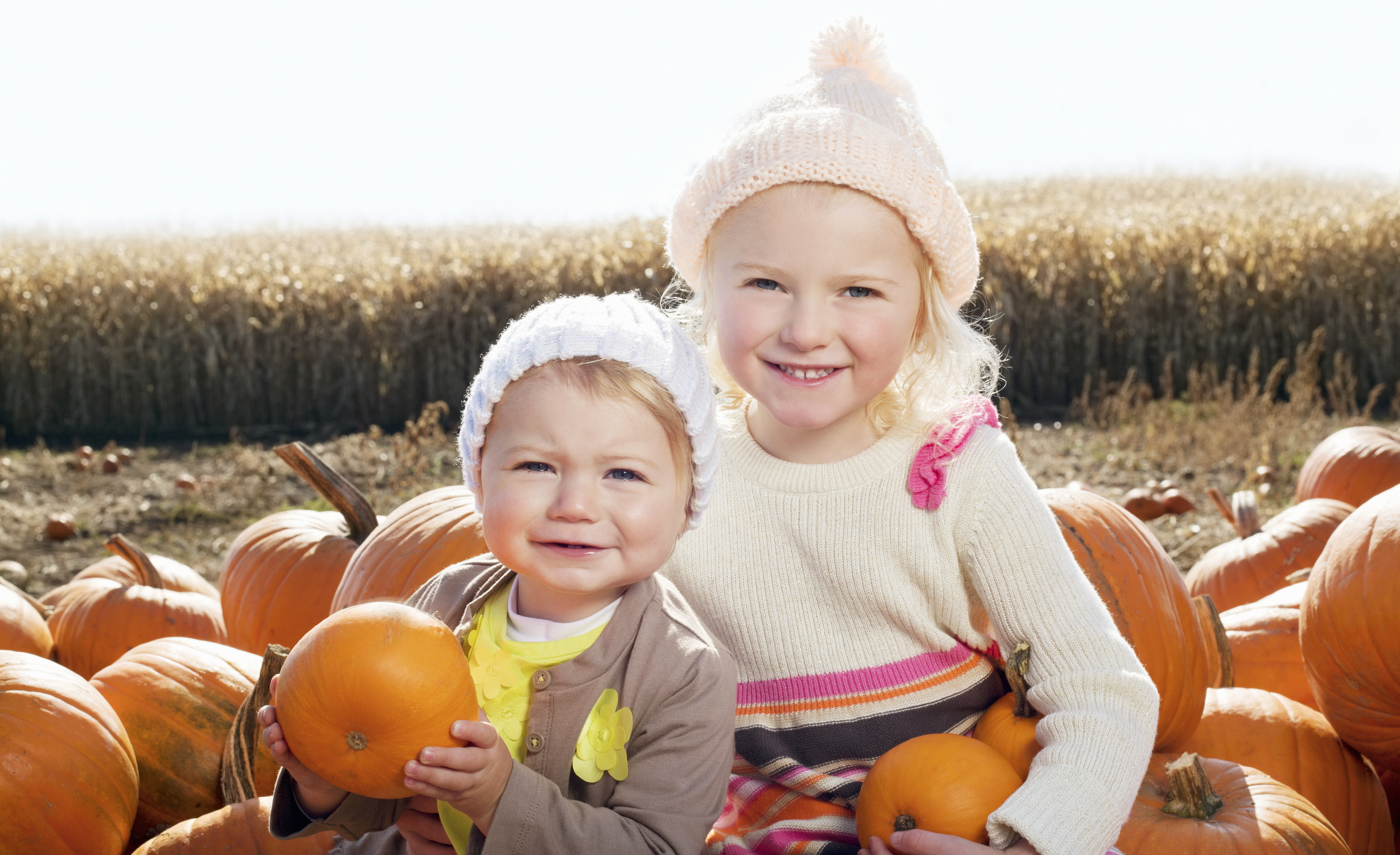10 Fall Traditions you will want to start today!