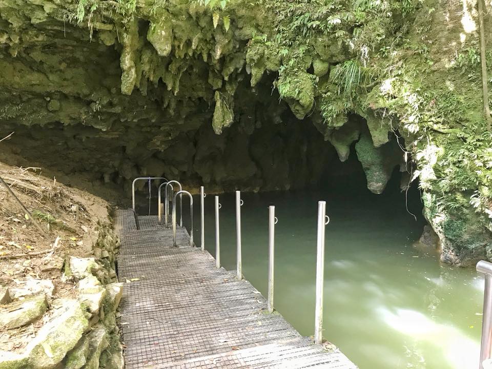 What to Expect When Visiting the Waitomo Glowworm Cave