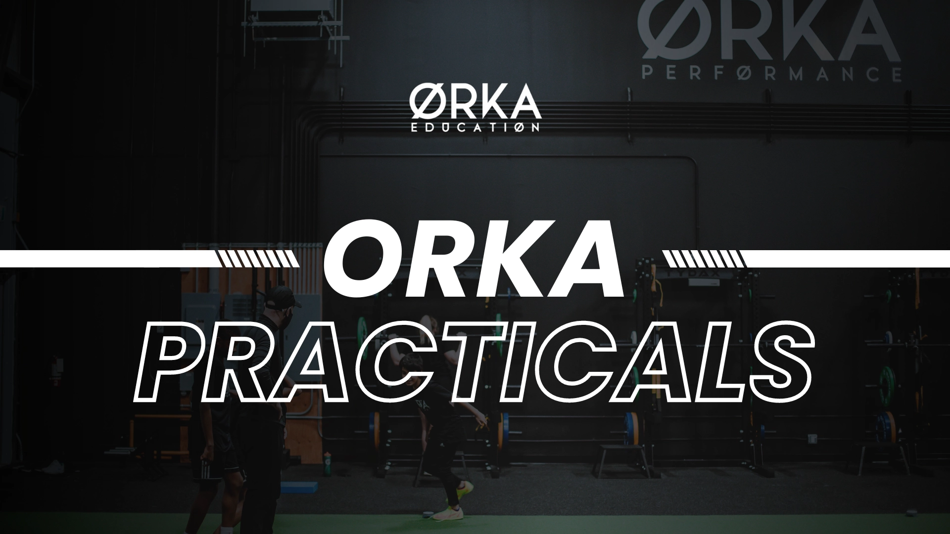 Orka Practicals | Orka Performance