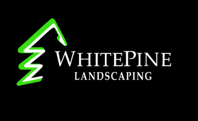 White Pine Landscaping - Home | Rhode Island's Premier Landscaper