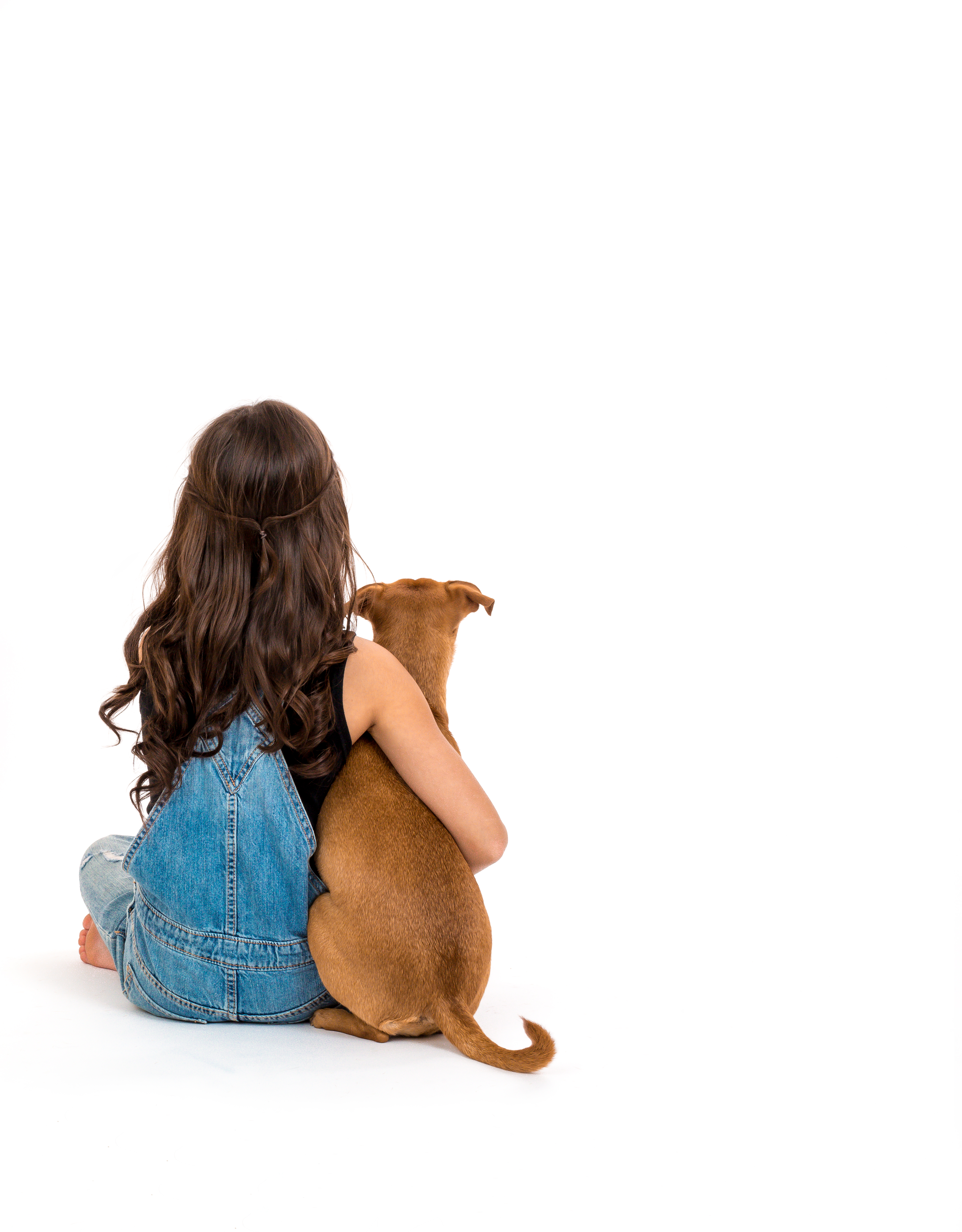 Paw Works Volunteers: Join Our Team in Saving Animals