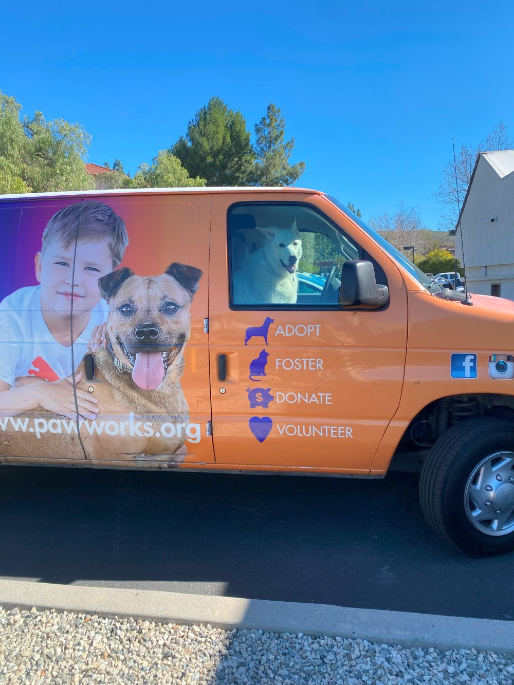 Paw Works History: From ‘No Kill’ Vision to 14,000 Lives Saved