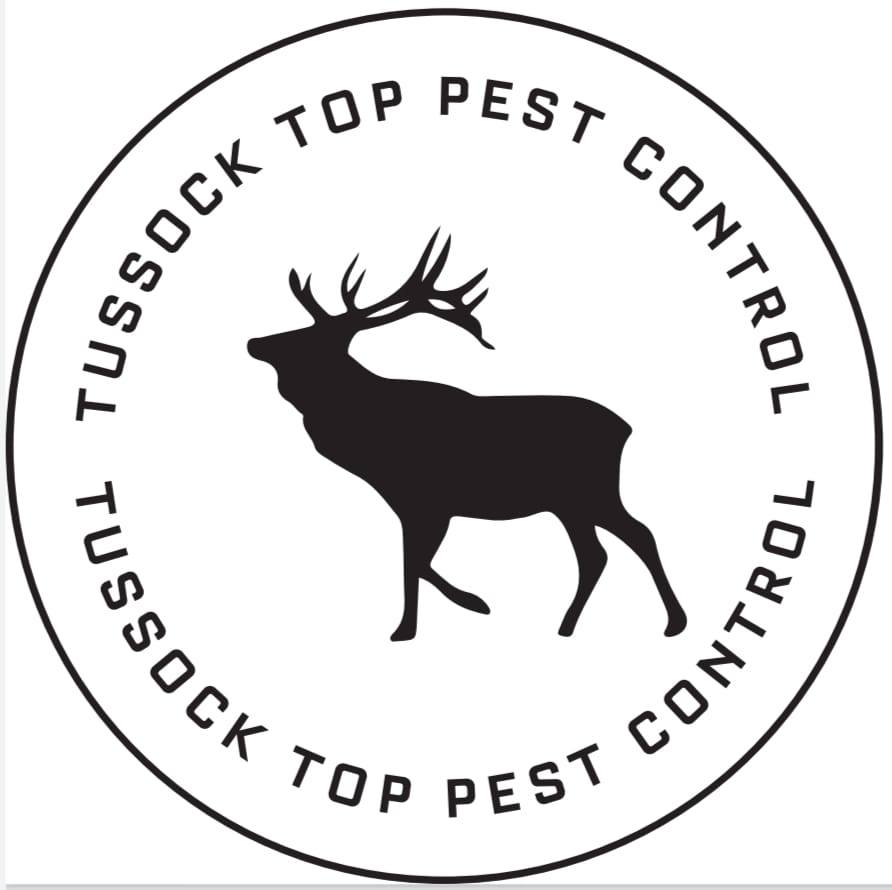 Pest Control Otago – Tussock Top Humane Removal Experts