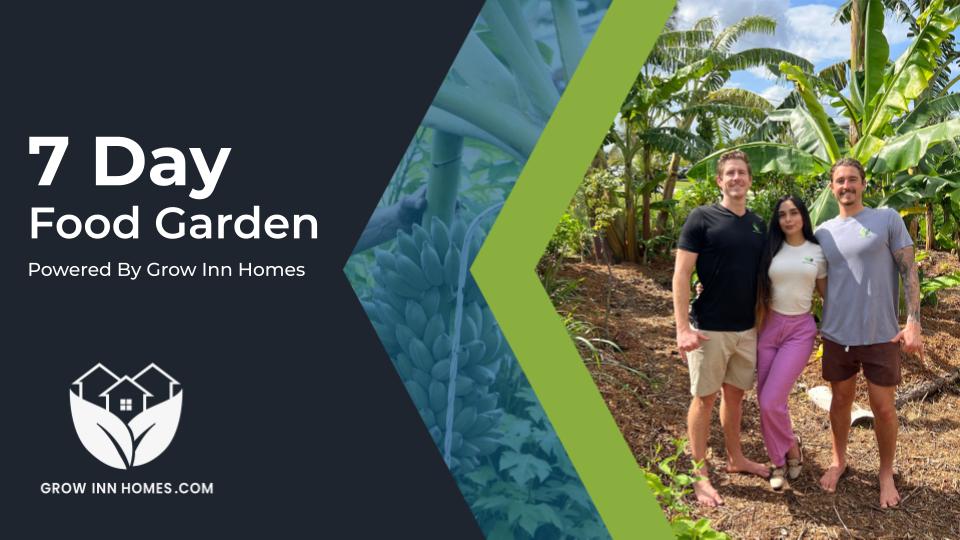 Learn How To Grow Food | Grow Inn Homes