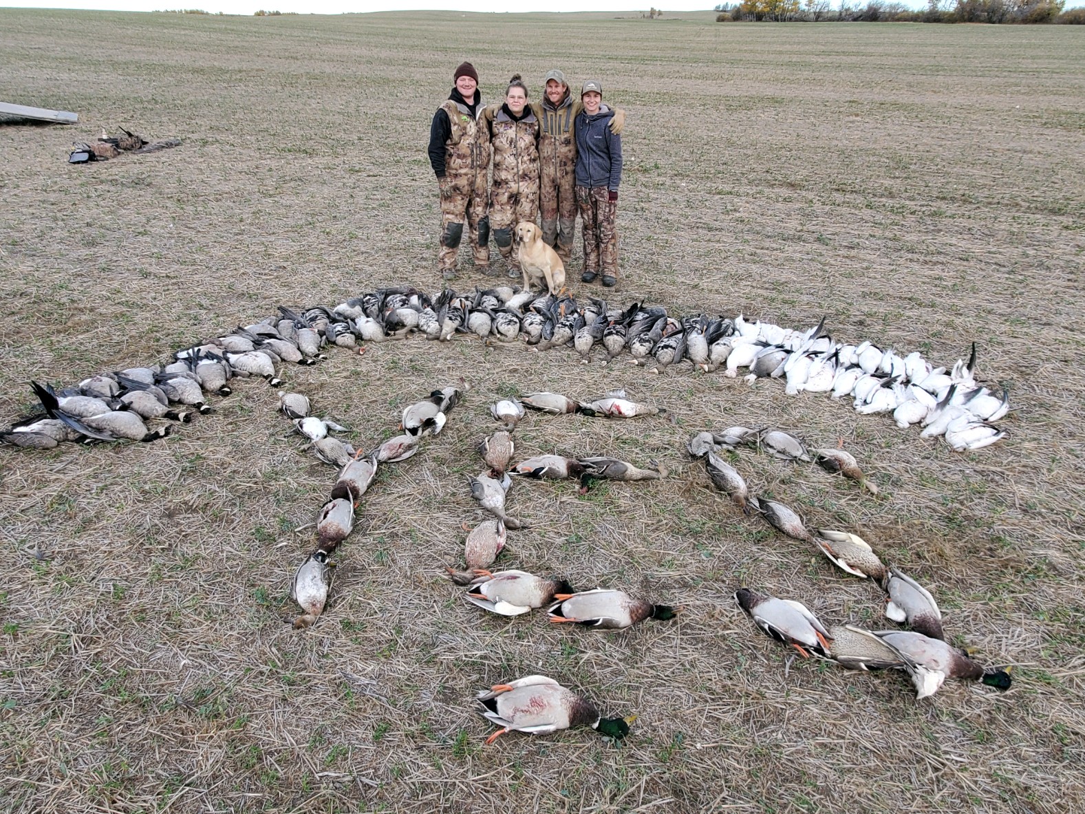 Saskatchewan Waterfowl: Guided Duck & Goose Hunts | Trusted Outfitter
