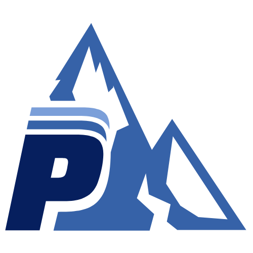 Peak Performance Pathways | A Proven Path to Reignite Your Drive