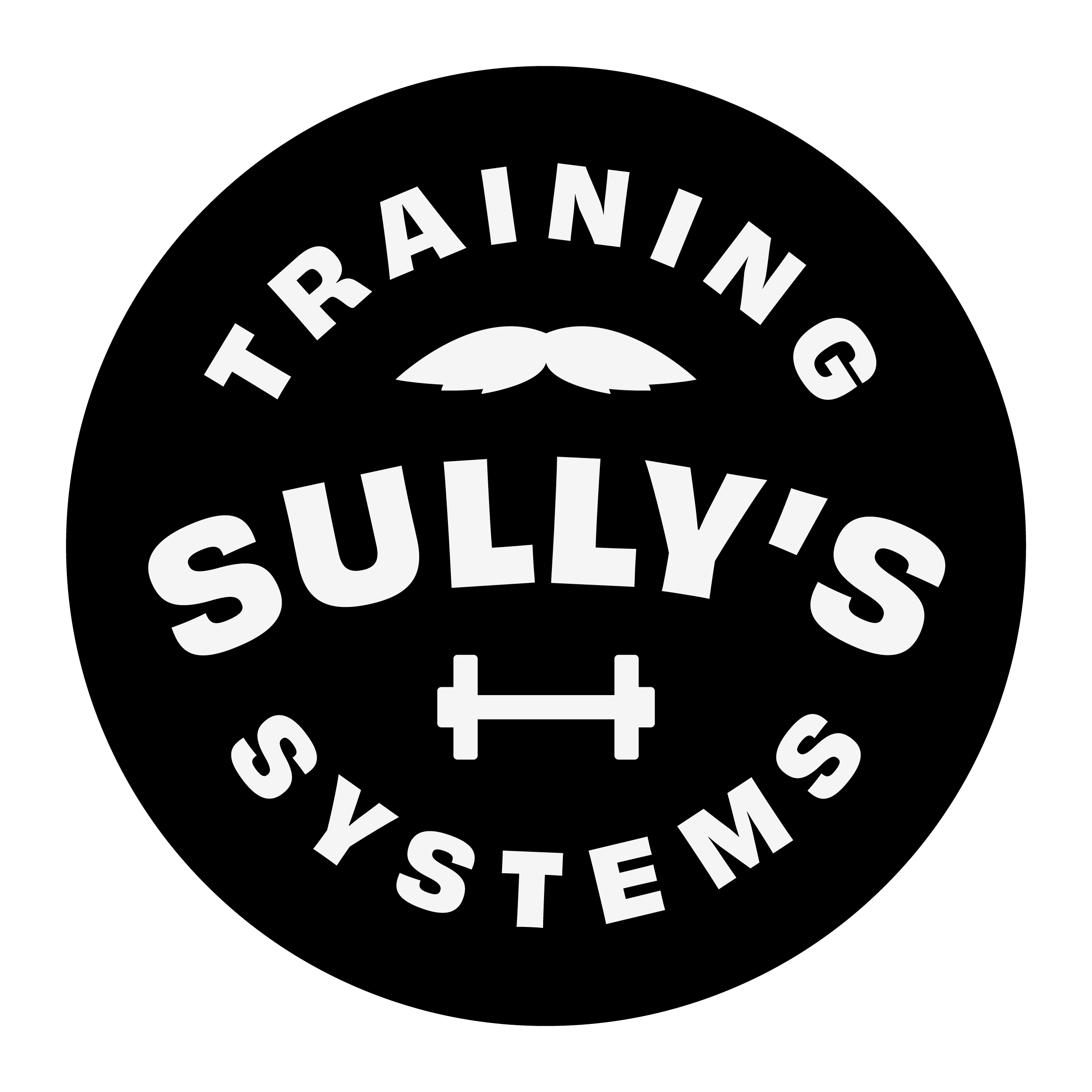 hyrox-nyc-shakeout-run-sully-s-training-systems