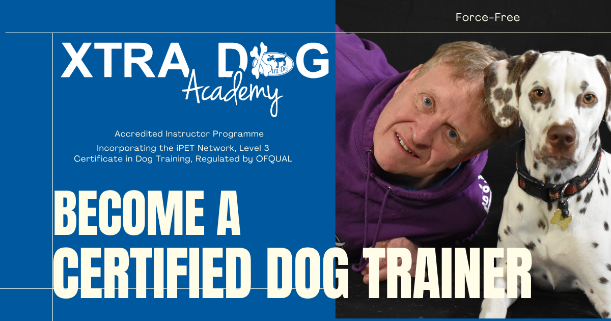 Professional Dog Trainer Certification | Xtra Dog Academy
