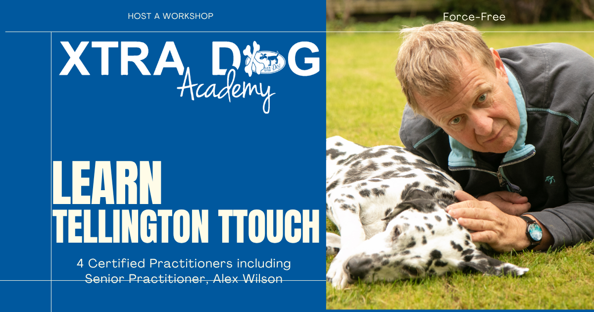 Tellington TTouch Training | 4 Certified Practitioners | Xtra Dog Academy