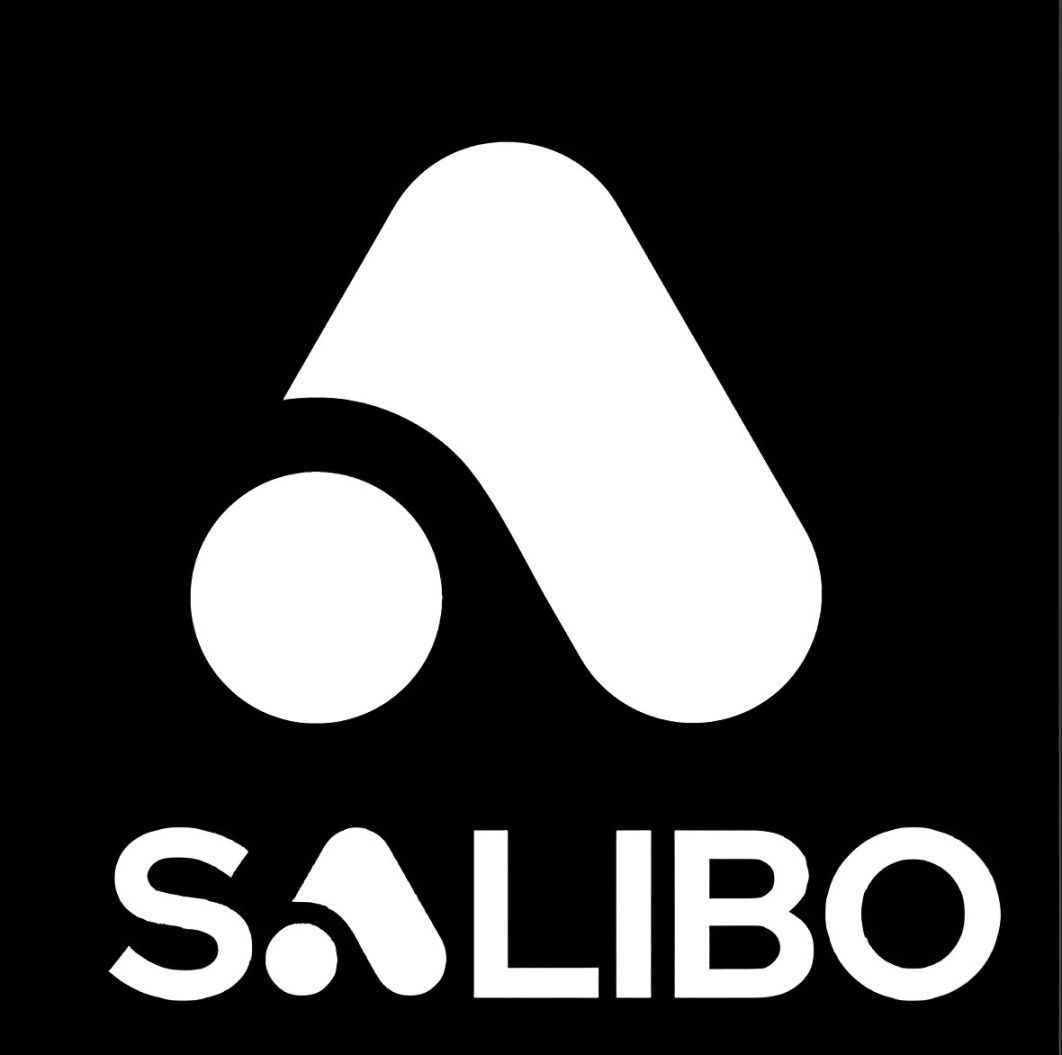 Revolutionizing Private Security: The Salibo Solution