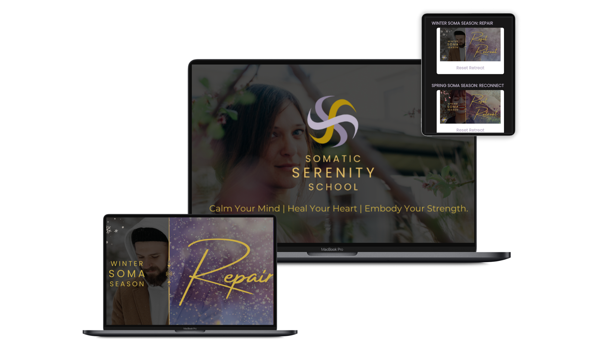 Somatic Serenity School - Where Sensitive Souls & ADHD Minds Heal From Complex-Trauma, Panic ...