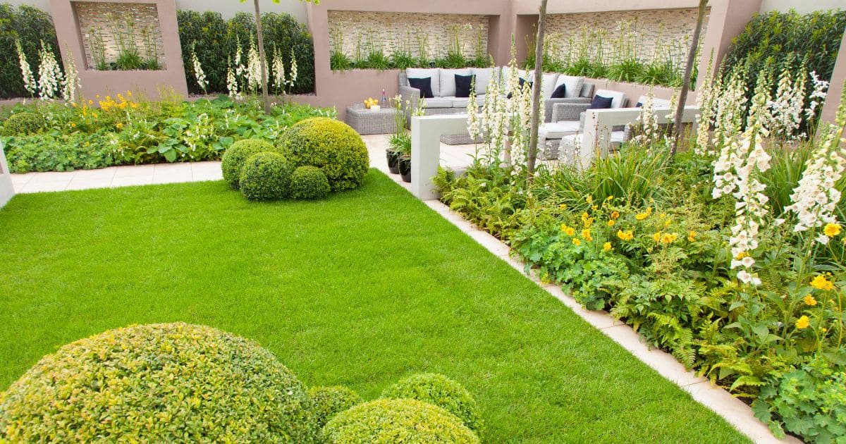Affordable & Reliable Landscaping Services | terramorph