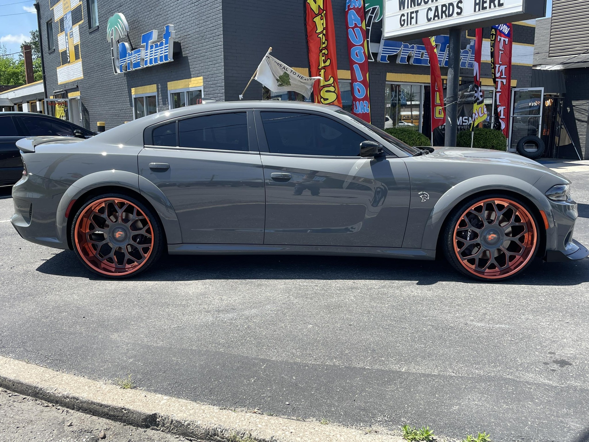 Pro Tint - Claim Your Free Voucher