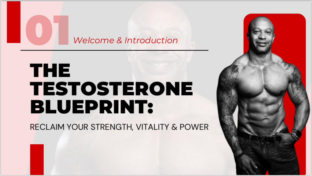 THE TESTOSTERONE BLUEPRINT